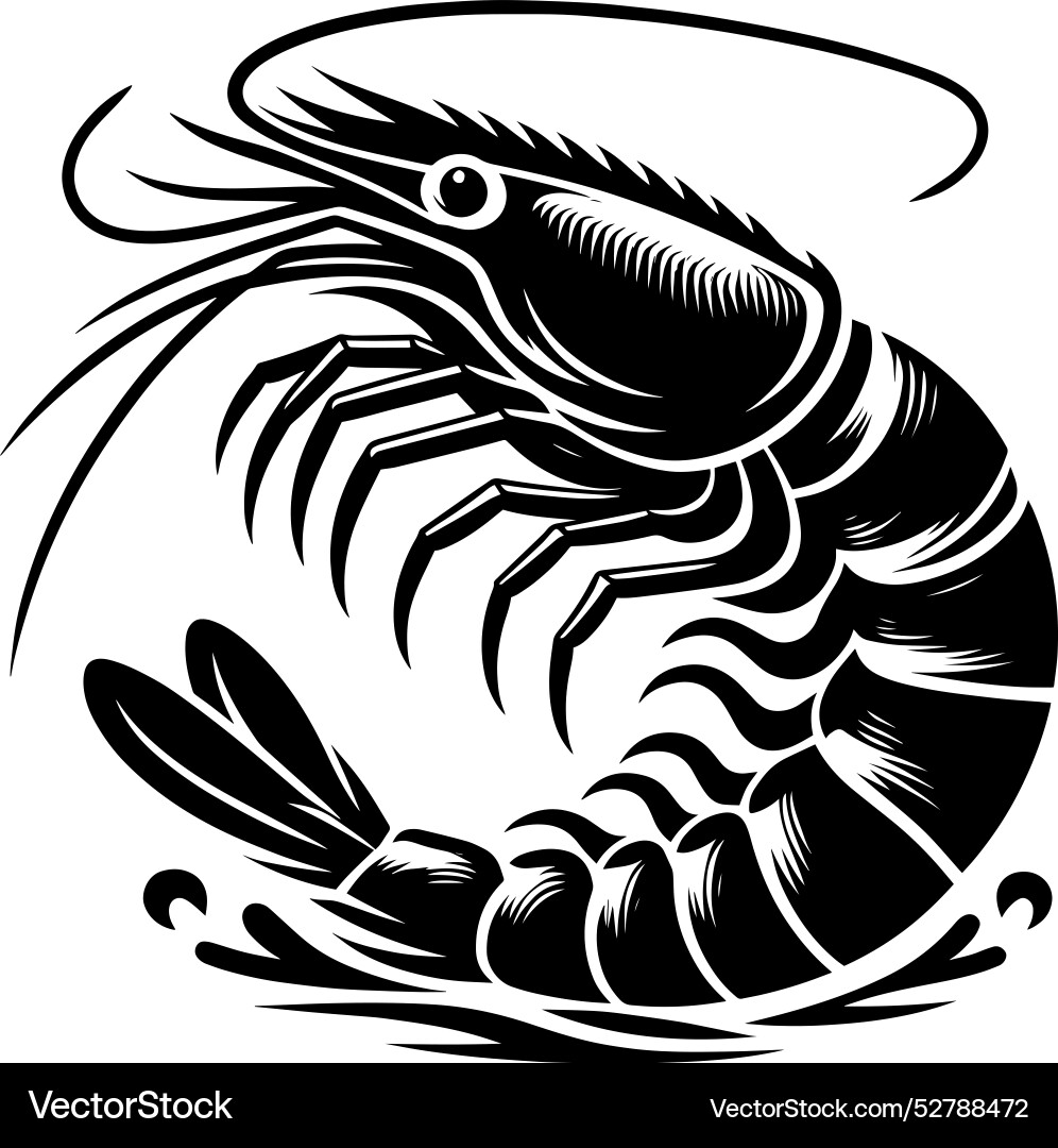 Shrimp silhouette isolated on white background Vector Image