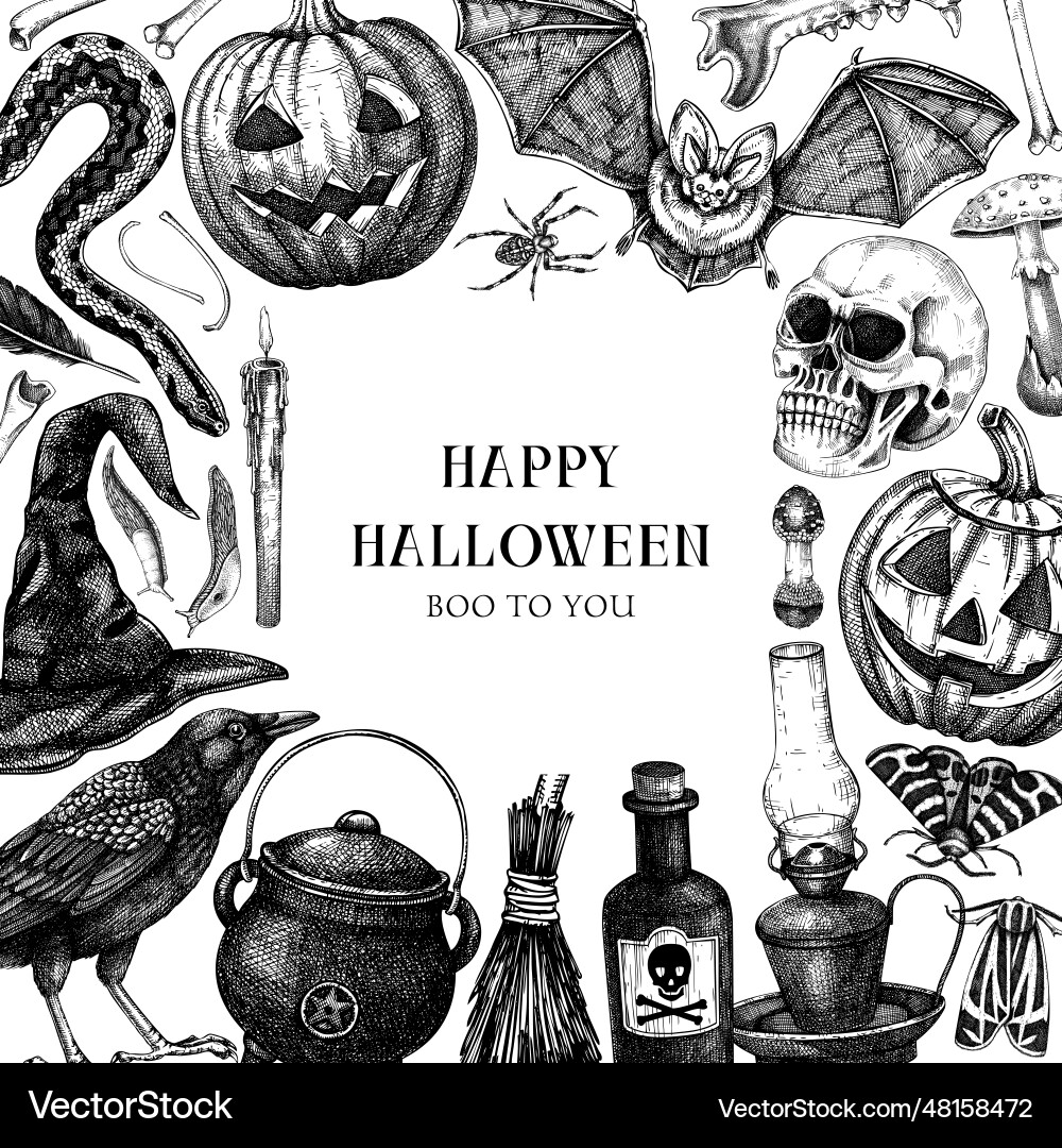 Vintage Halloween Skull & Raven Frame Vector Image