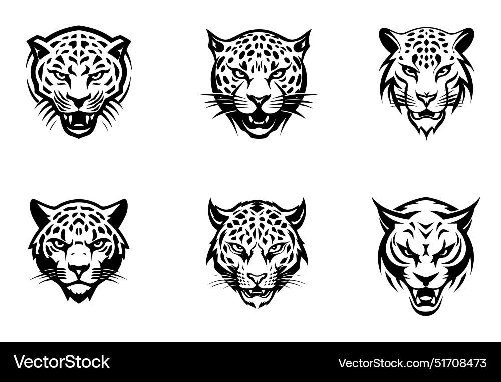 Cheetah head on white background wild animals Vector Image