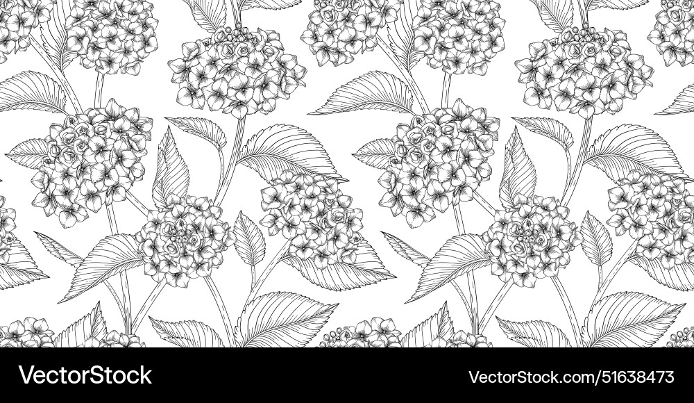 Hydrangea floral pattern black and white Vector Image