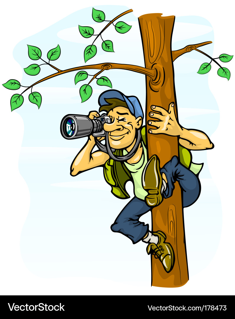 Sneaky Photographer Royalty Free Vector Image - VectorStock