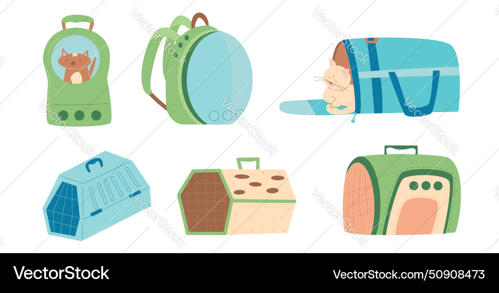 Transportation box and backpack carrier domestic Vector Image