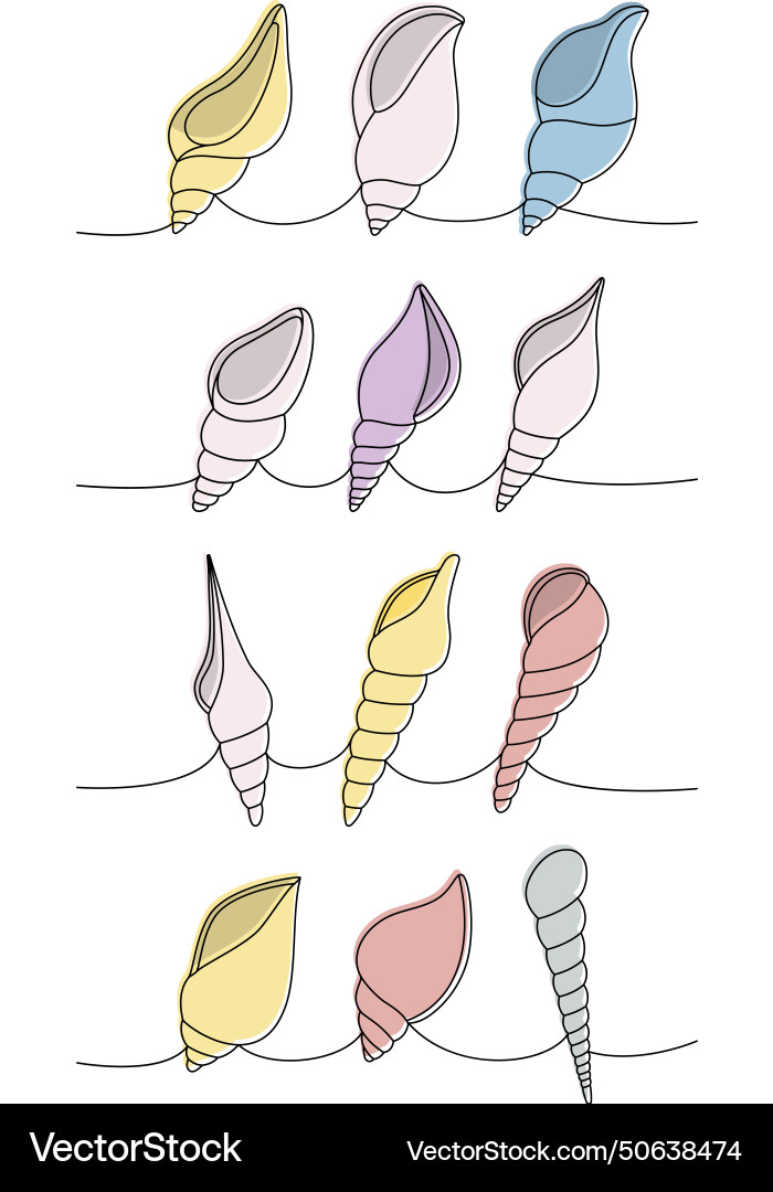 Sea shells set mollusks scallop Royalty Free Vector Image