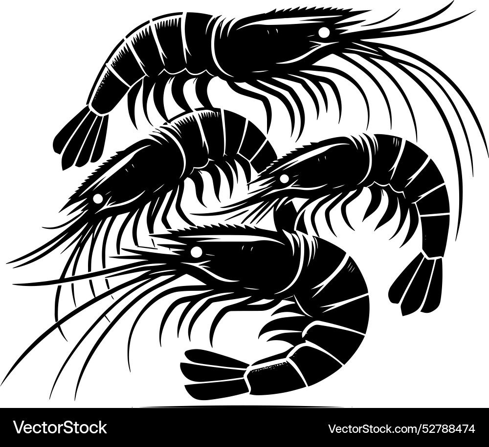 Shrimp silhouette isolated on white background Vector Image