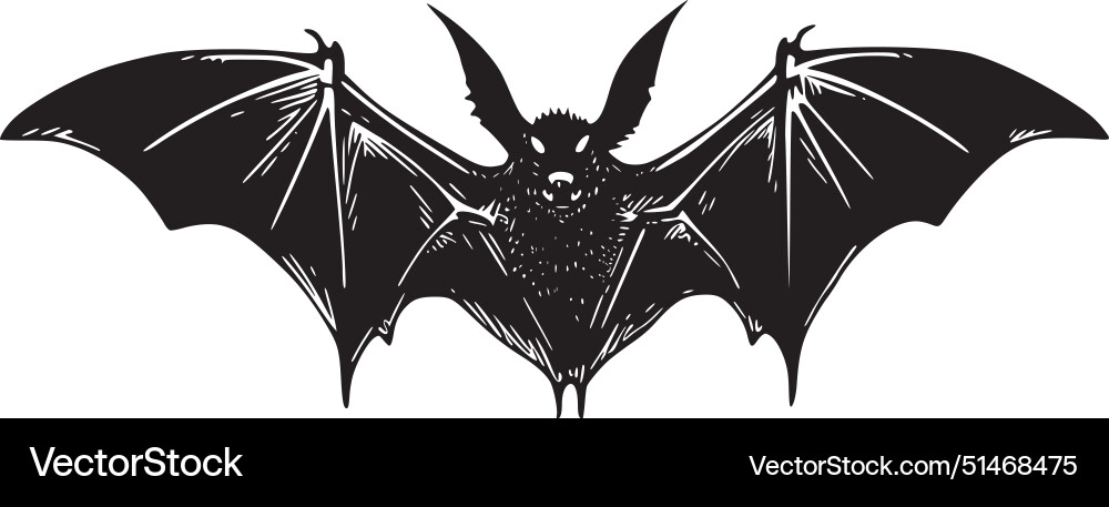 Bat - minimalist and flat logo Royalty Free Vector Image