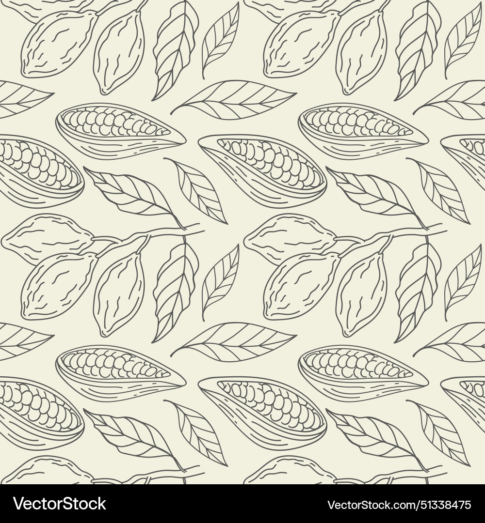 Cacao beans seamless pattern hand drawn v Vector Image