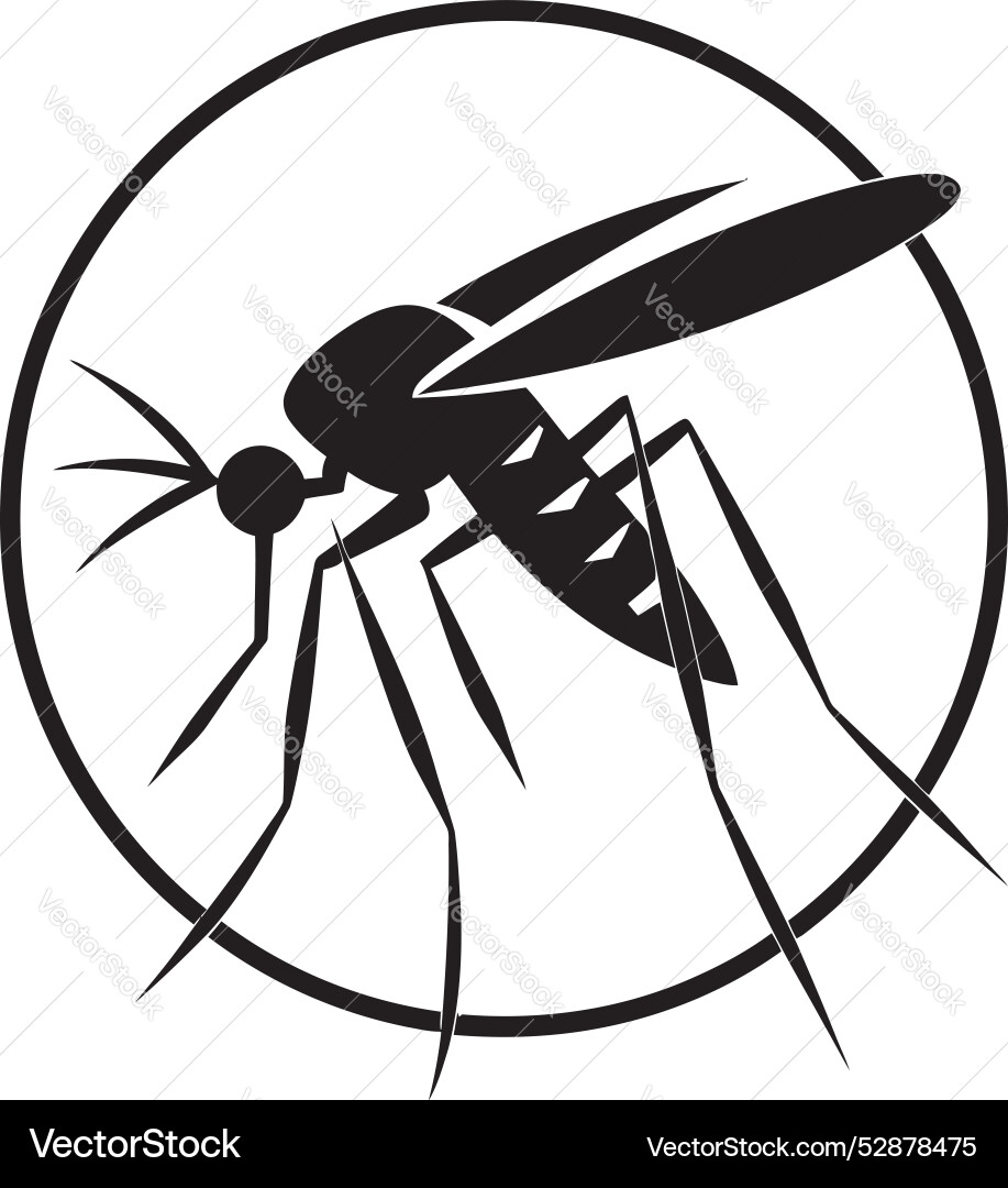 Graceful mosquito graphic monochrome mosquito Vector Image