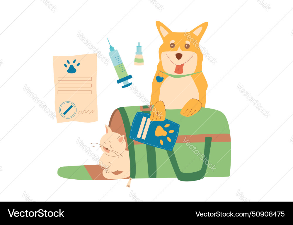 Vaccination for travel pets veterinary rules Vector Image