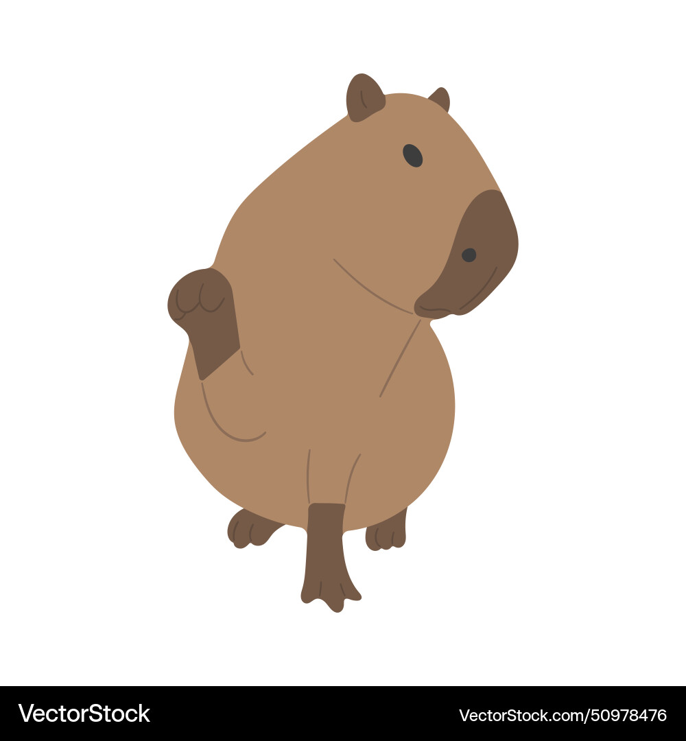 Capybara single 3 Royalty Free Vector Image - VectorStock