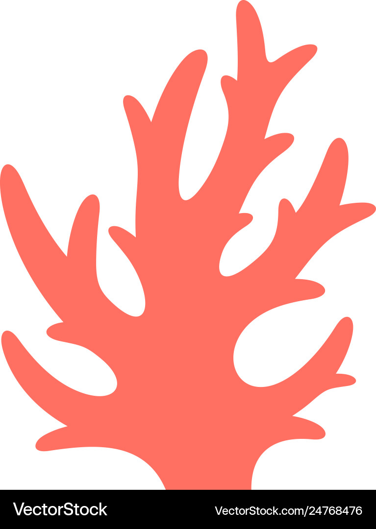 Coral Royalty Free Vector Image - VectorStock
