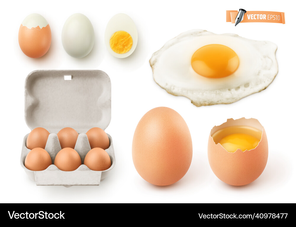 Collection of realistic eggs Royalty Free Vector Image