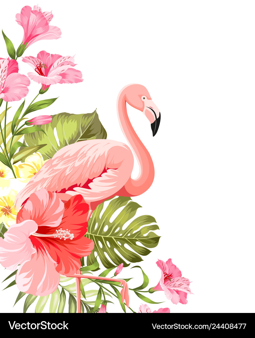 Tropical Flamingo Wallpaper Vector Images (over 4,600)