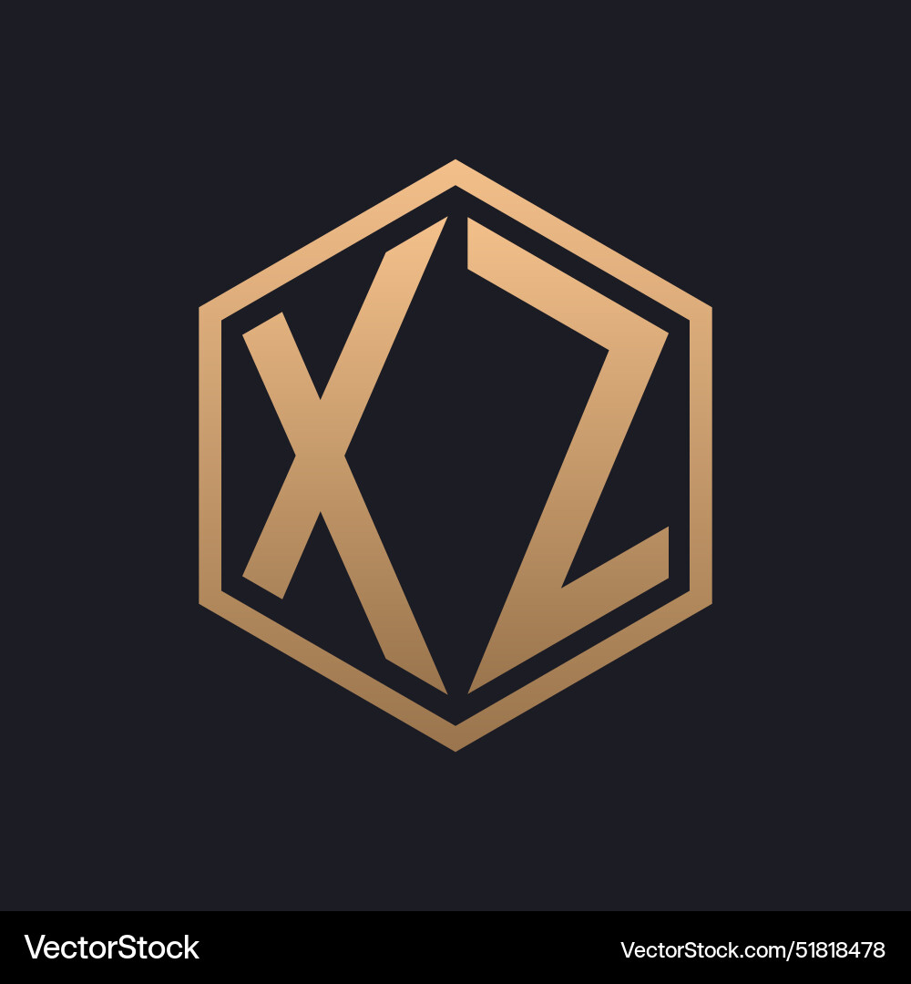 Elegant hexagon letter xz logo design initial Vector Image