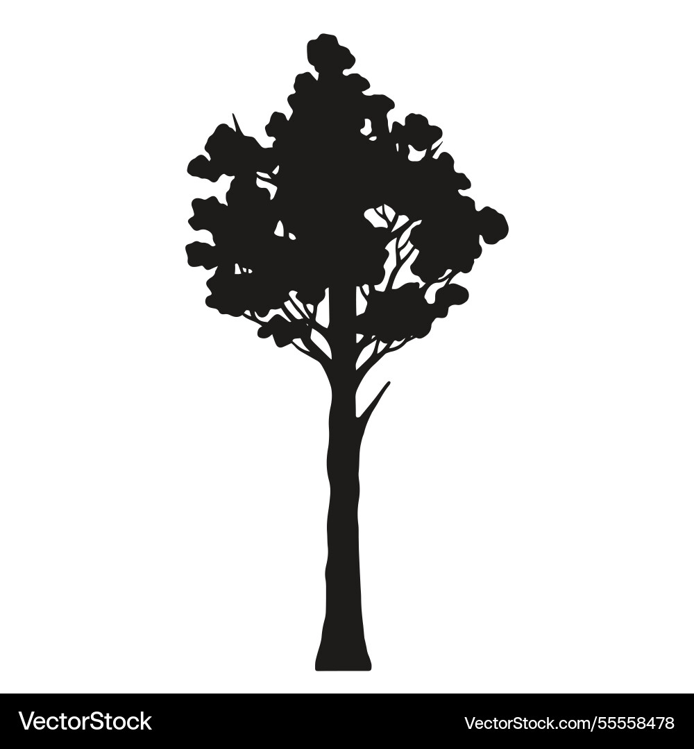 Tall tree silhouette on white backdrop Royalty Free Vector