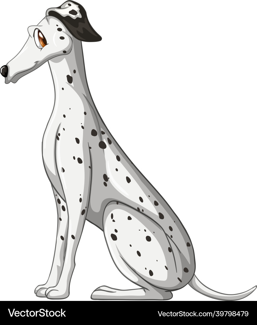 Dalmatian dog cartoon on white background Vector Image
