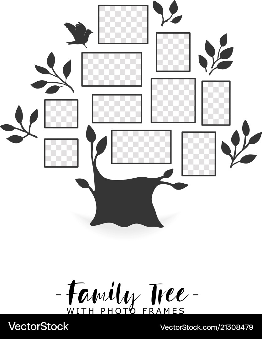 Family tree with photo frames Royalty Free Vector Image