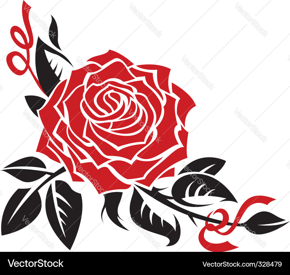 Rose Royalty Free Vector Image - VectorStock