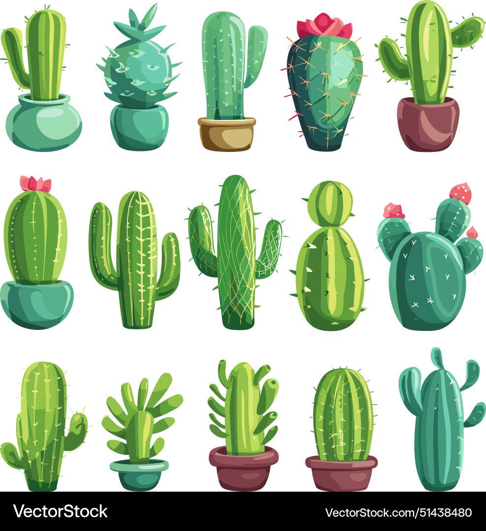 Cartoon cacti simple Royalty Free Vector Image