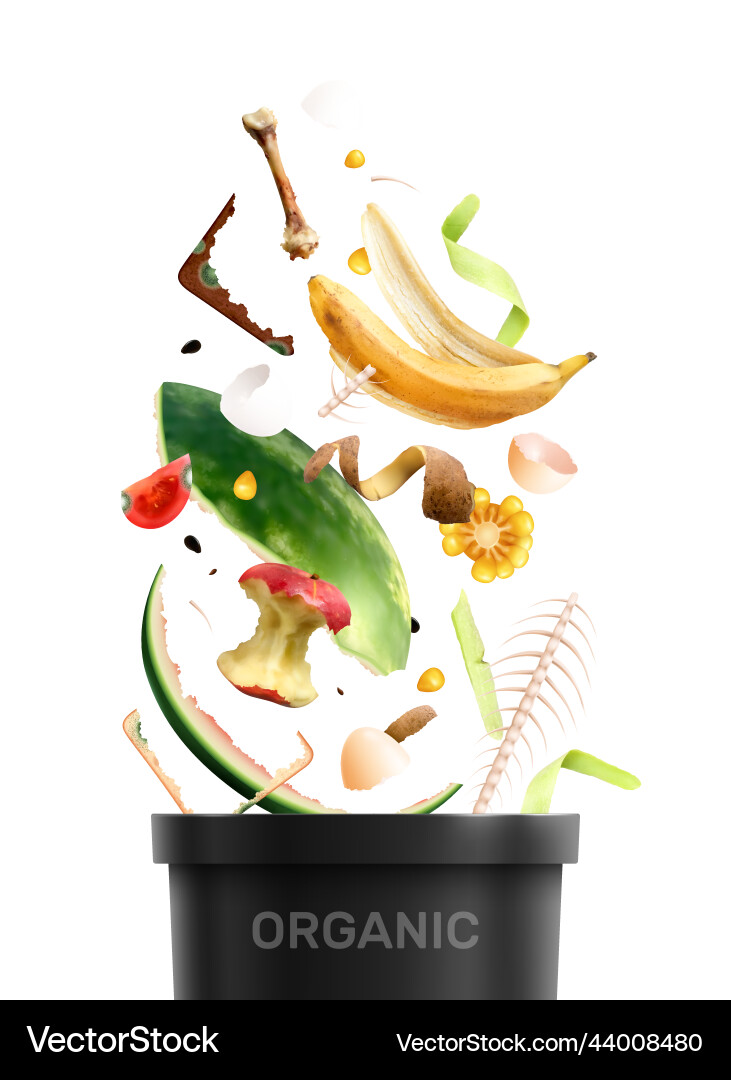Organic food waste composition Royalty Free Vector Image