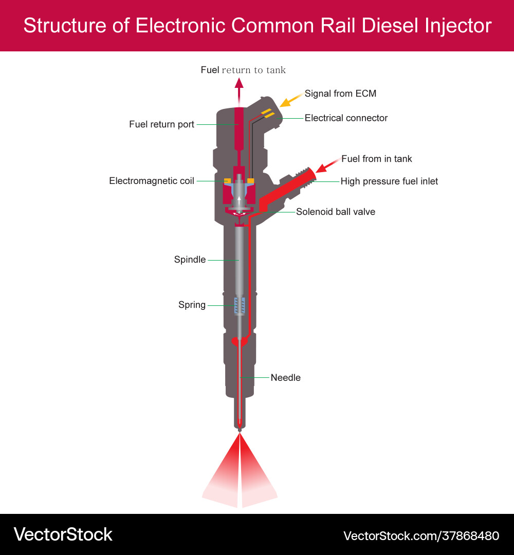Structure electronic common rail diesel Royalty Free Vector