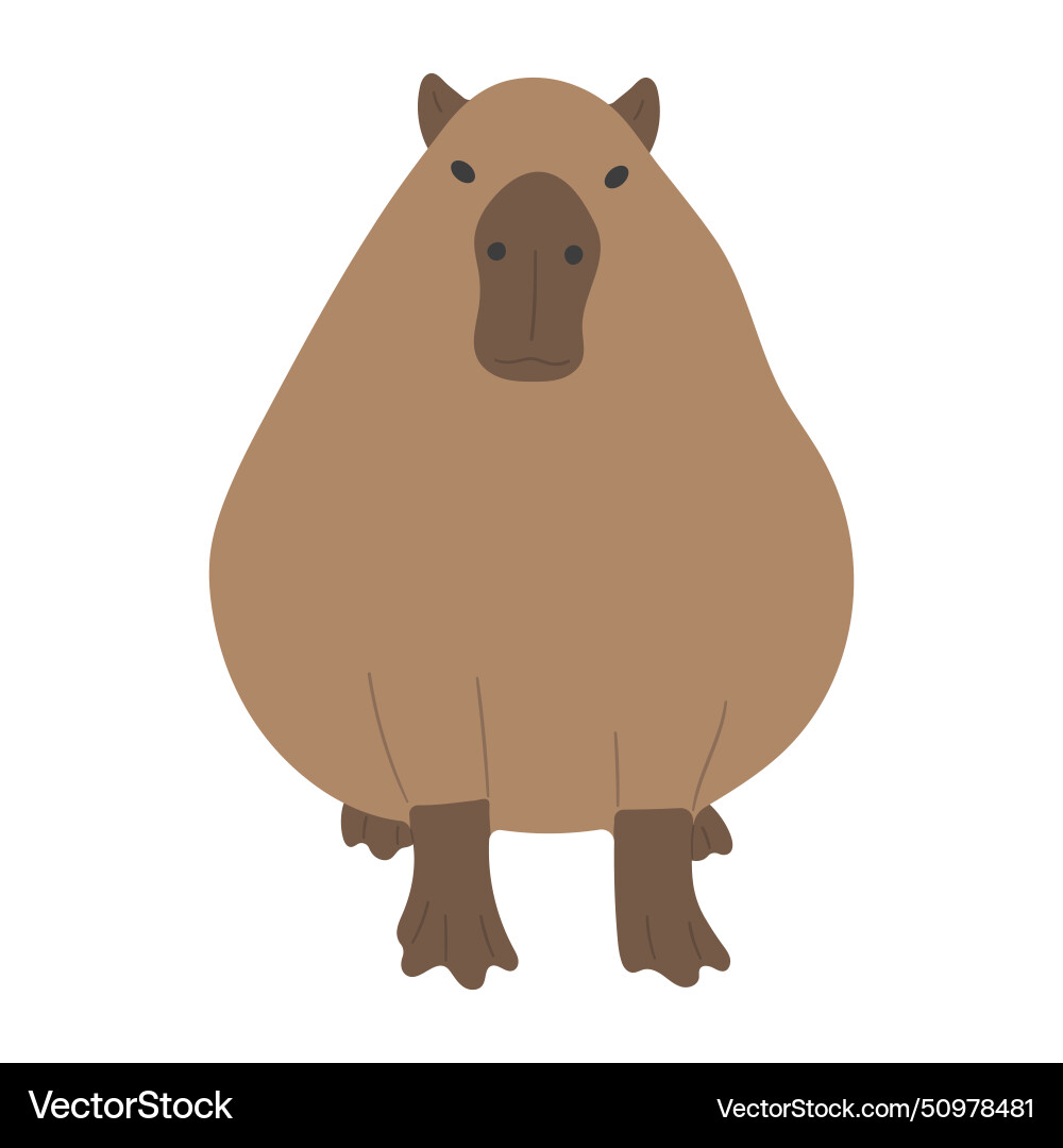 Capybara single 34 Royalty Free Vector Image - VectorStock