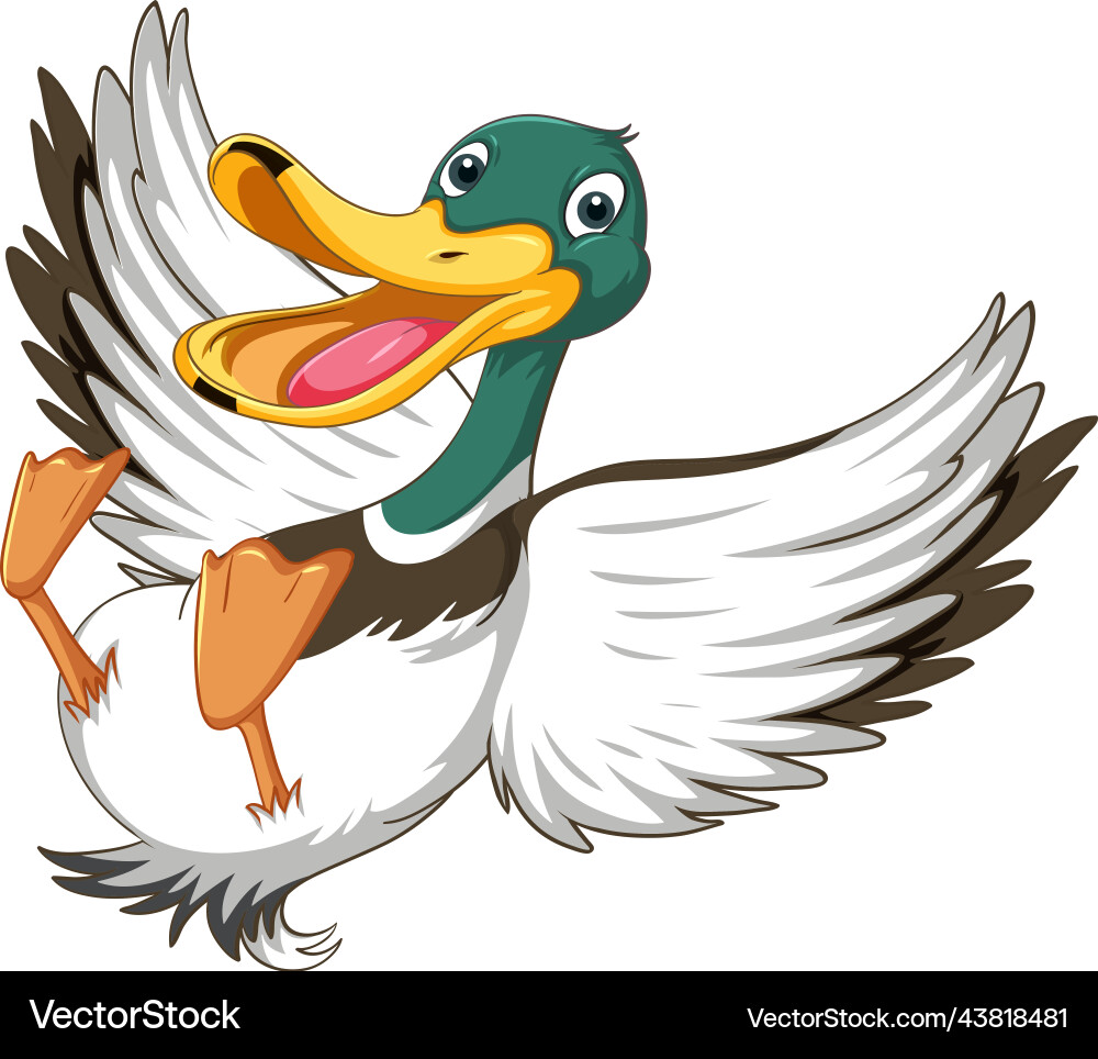 Happy mallard duck cartoon character Royalty Free Vector