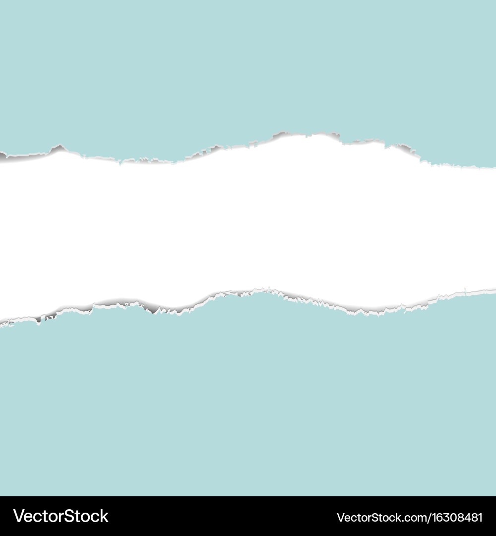 Torn paper borders Royalty Free Vector Image - VectorStock