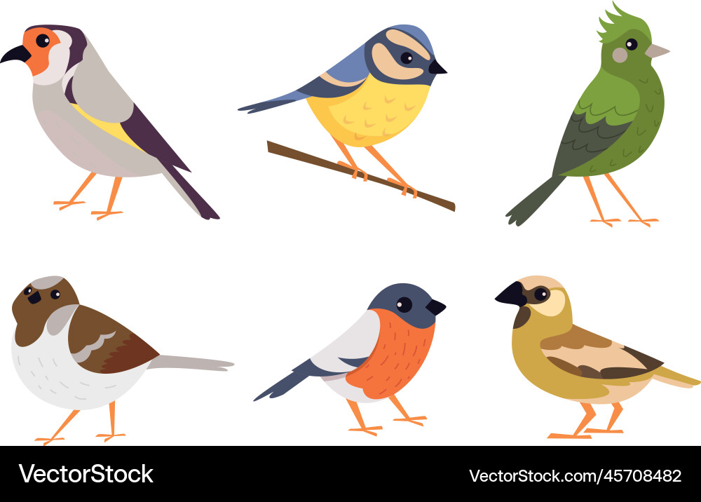 Colorful Cartoon Birds Flying Royalty Free Vector Image