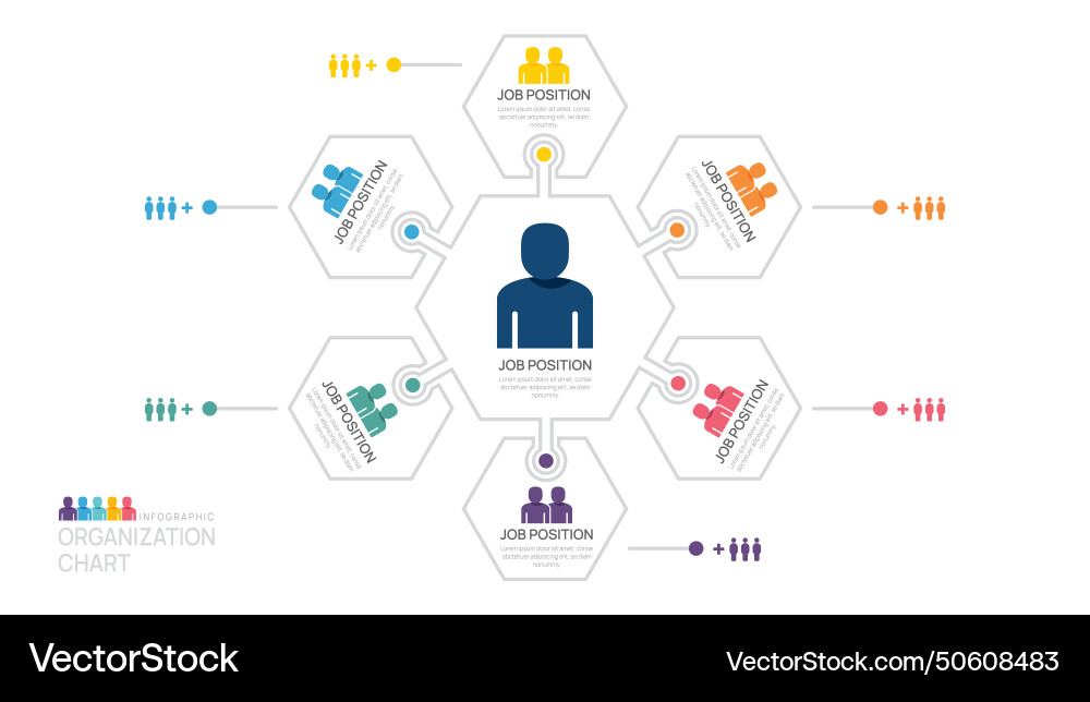 Infographic template for organization chart Vector Image