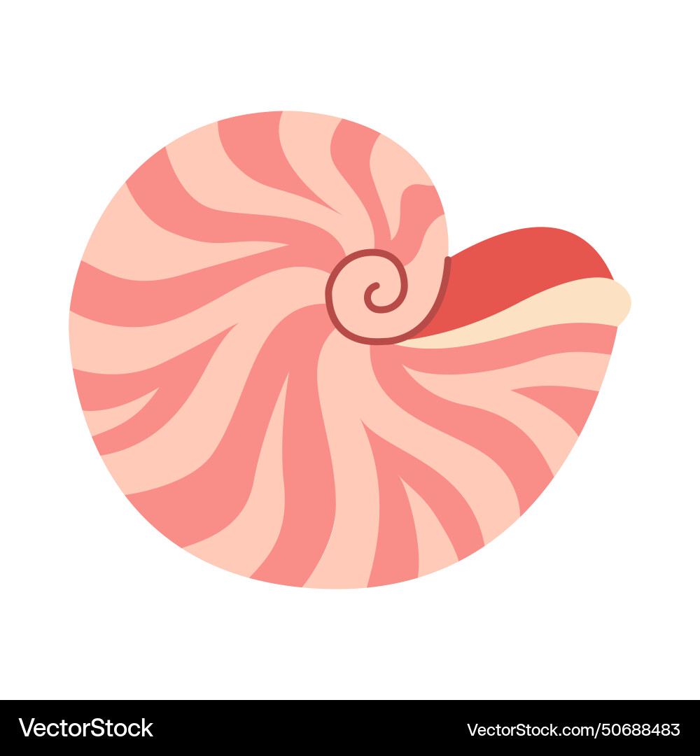 Seashell hand drawn nautilus pompilius cartoon Vector Image