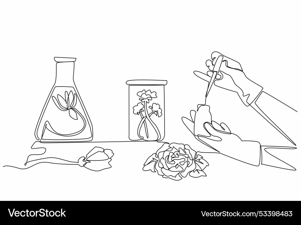Single continuous line drawing the perfumer Vector Image