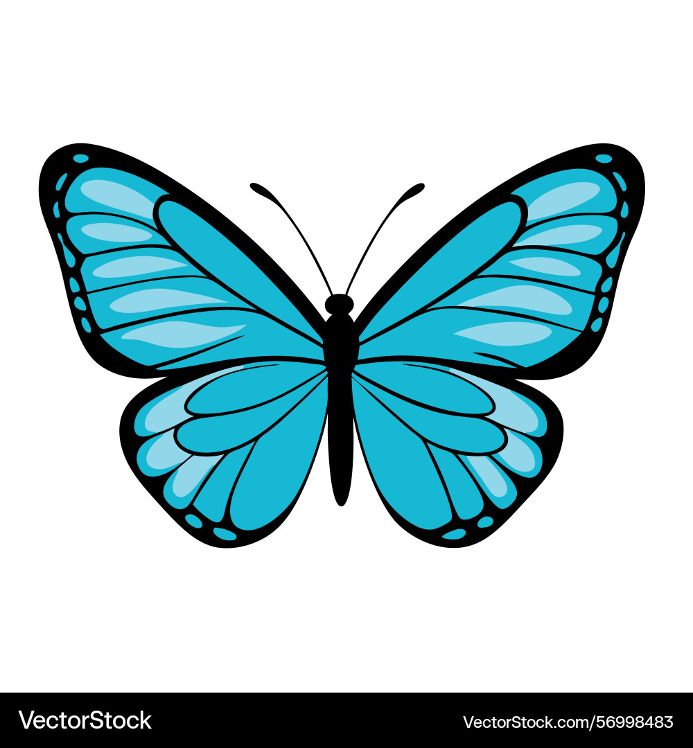 Vibrant blue butterfly wing design – Royalty-Free Vector | VectorStock