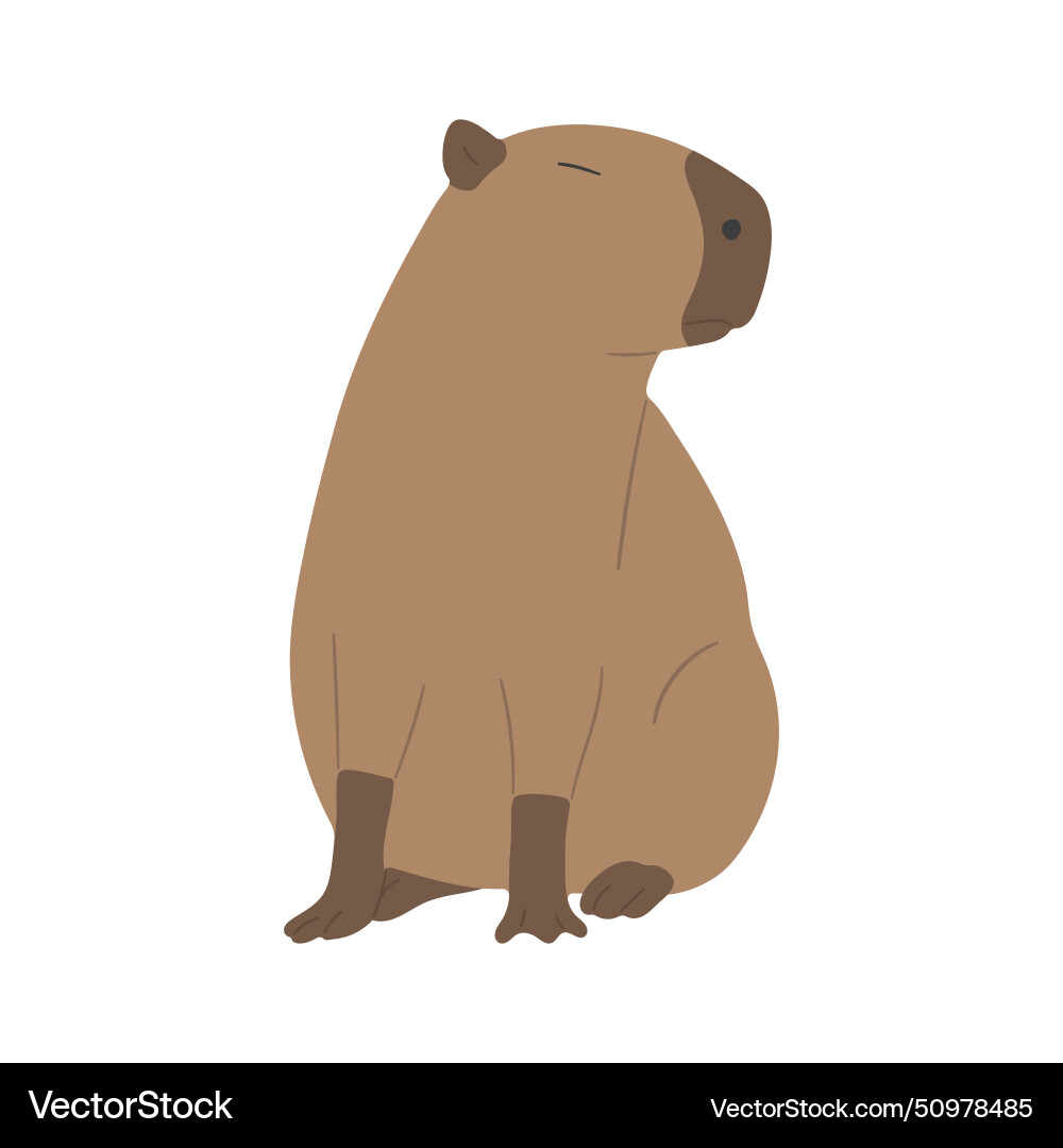 Capybara single 38 Royalty Free Vector Image - VectorStock