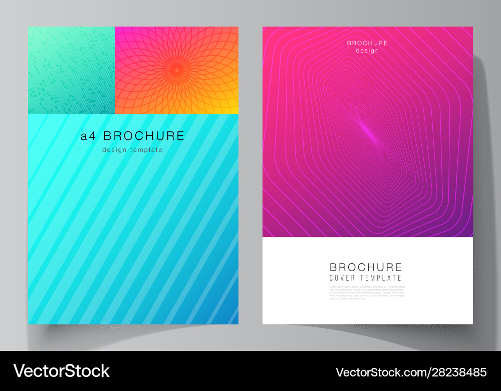 Layout a4 format modern cover Royalty Free Vector Image