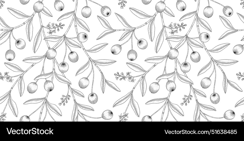 Olive tree pattern black and white Royalty Free Vector Image