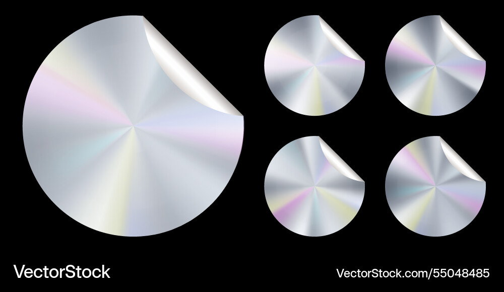 Silver hologram sticker label stamp platinum Vector Image