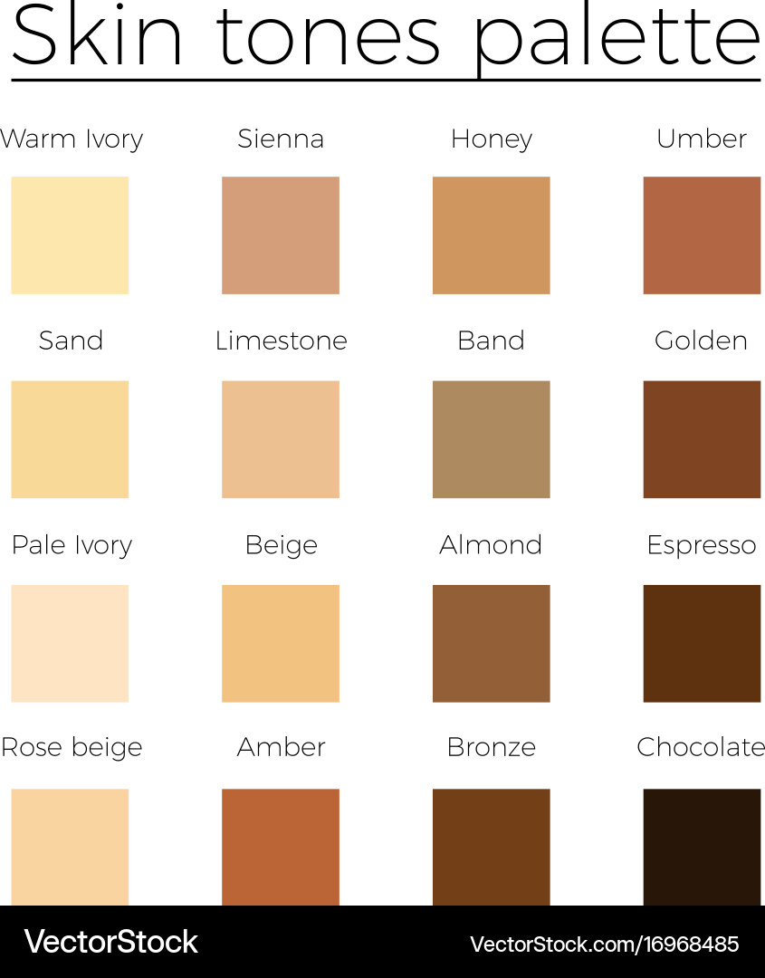 Skin tones color palette Royalty Free Vector Image