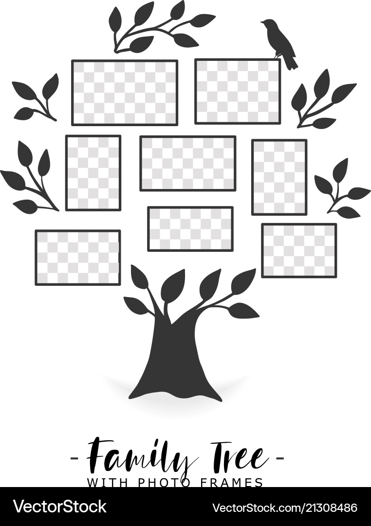 Family tree with photo frames Royalty Free Vector Image