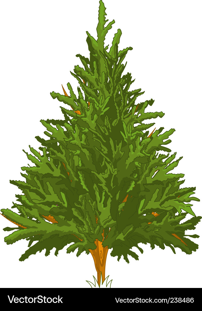 Pine tree Royalty Free Vector Image - VectorStock