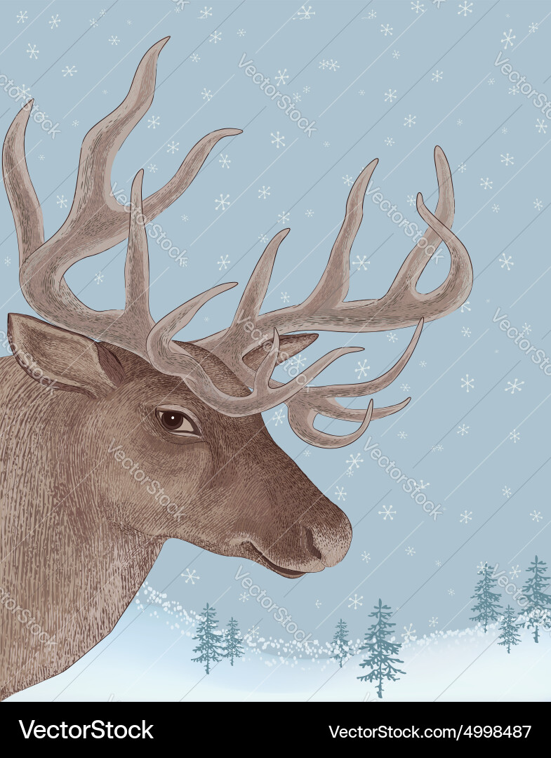 Deer Royalty Free Vector Image - VectorStock