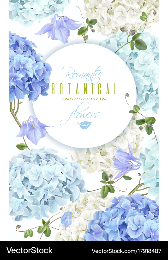Elegant Hydrangea Banner Royalty Free Vector Image