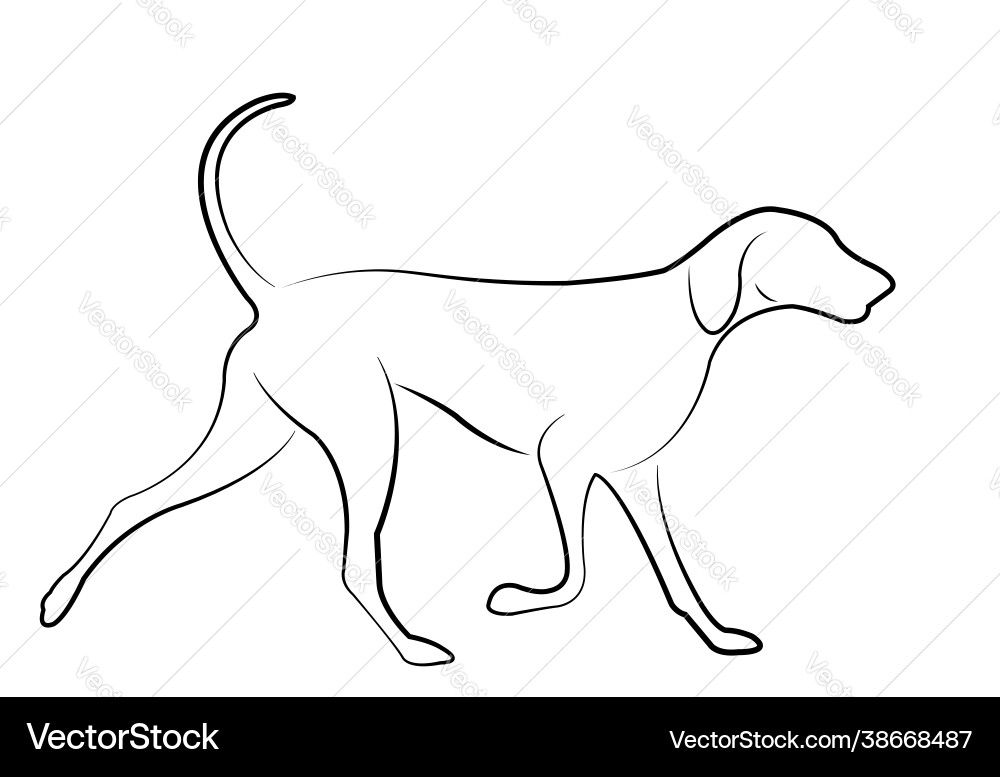 Hound dog line art Royalty Free Vector Image - VectorStock