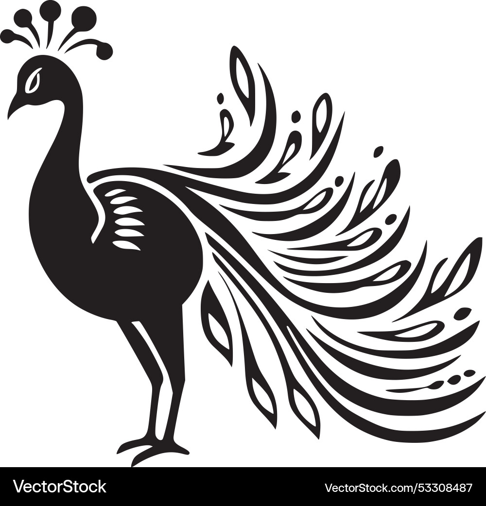 Simple Peacock Design