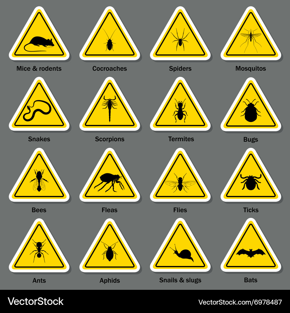 Pest and insect control icons set Royalty Free Vector Image
