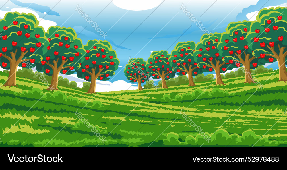 View of apple orchard growing on grass Royalty Free Vector