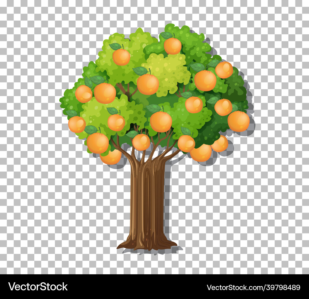 Orange tree on transparent background Royalty Free Vector