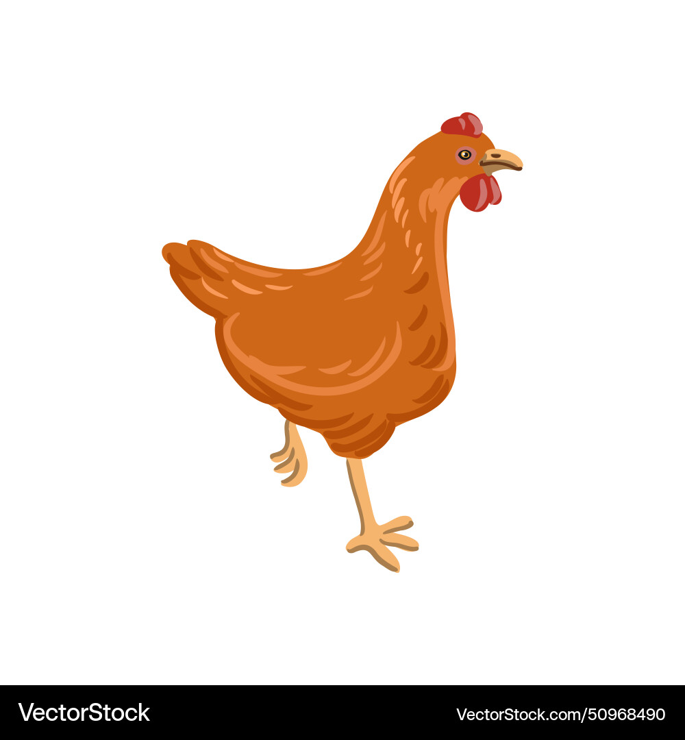 Drawing chicken bird Royalty Free Vector Image