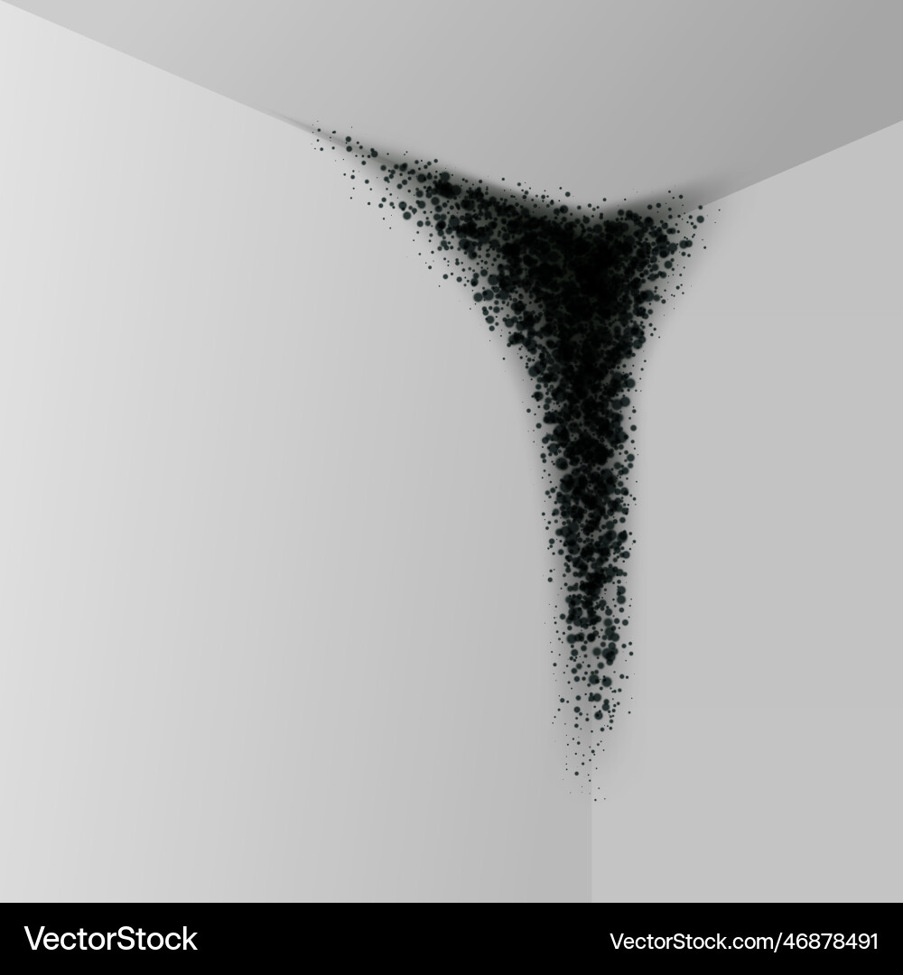 Black mold wall ceiling corner fungus microbe Vector Image