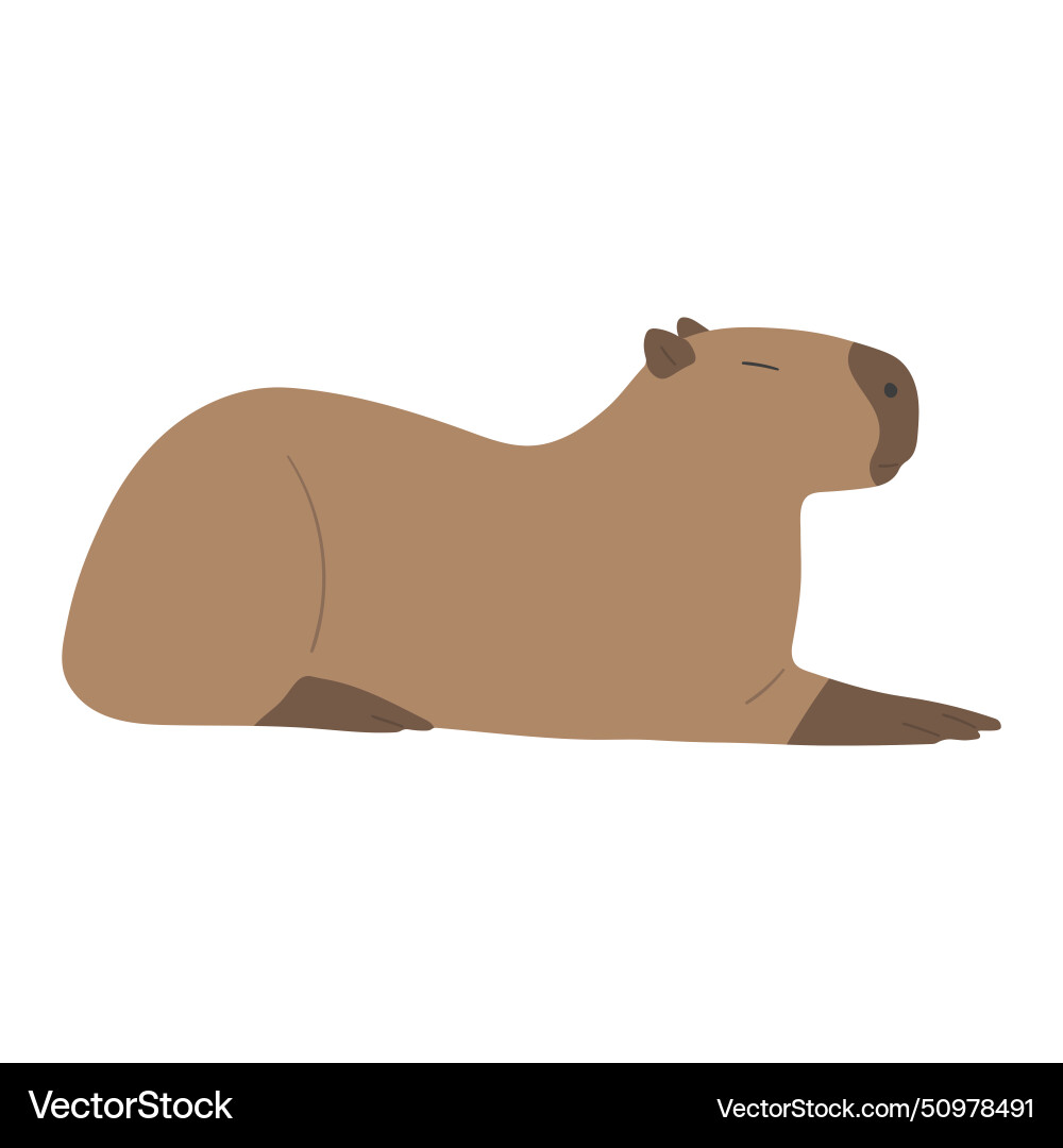 Capybara single 42 Royalty Free Vector Image - VectorStock