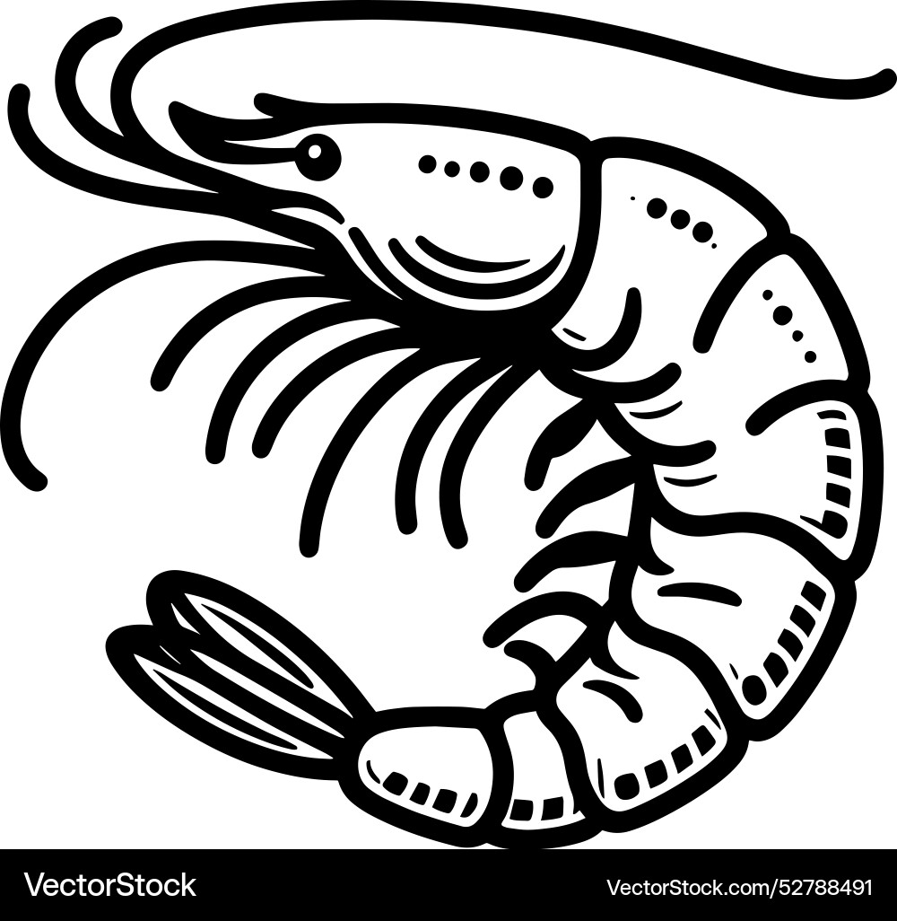 Shrimp silhouette isolated on white background Vector Image
